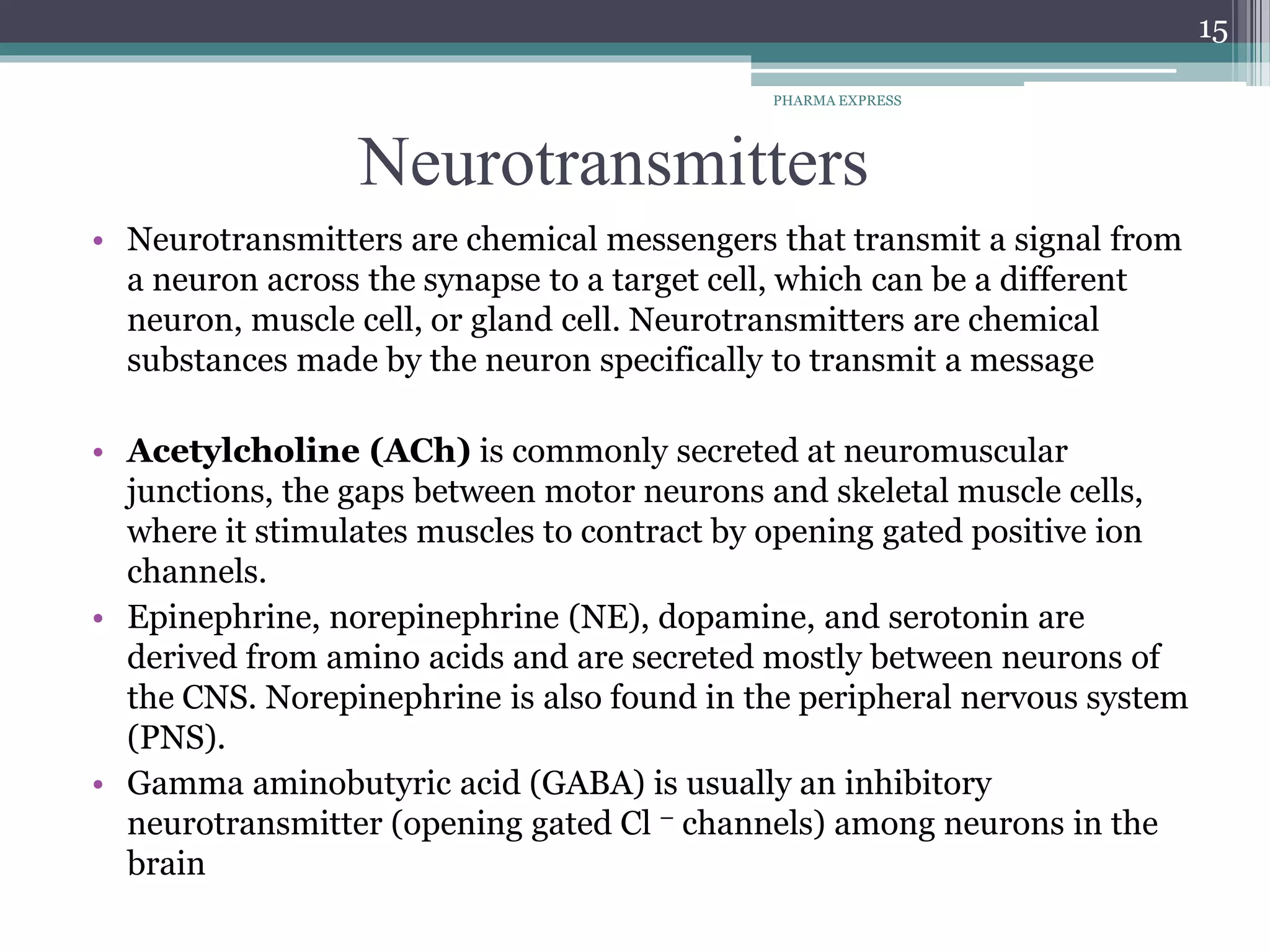 Nervous system ppt | PPTX
