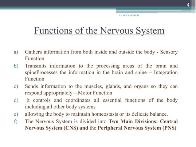 Nervous system ppt | PPTX | Brain and Nervous System Disorders ...