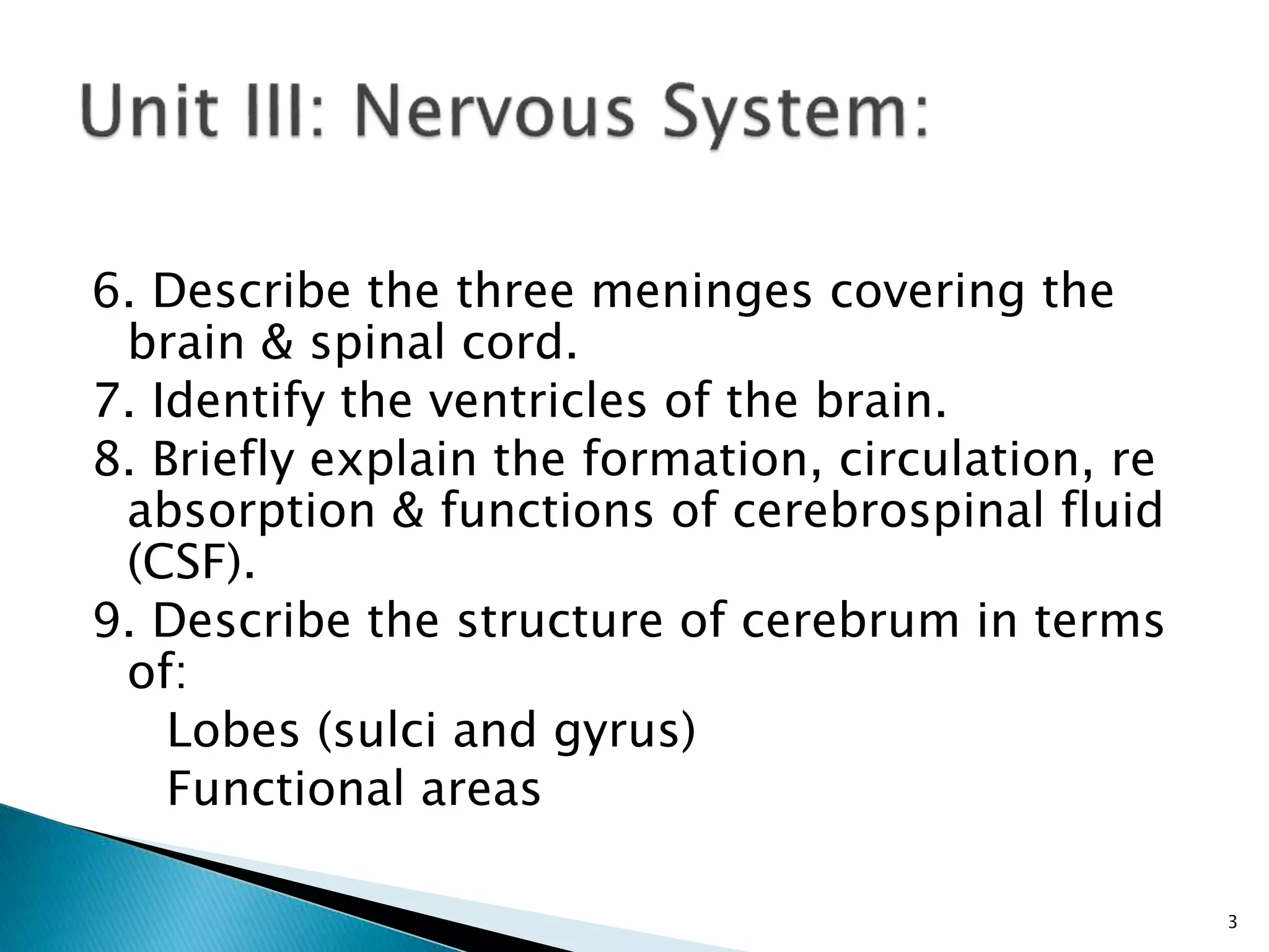 NERVOUS SYSTEM PPT.pptx