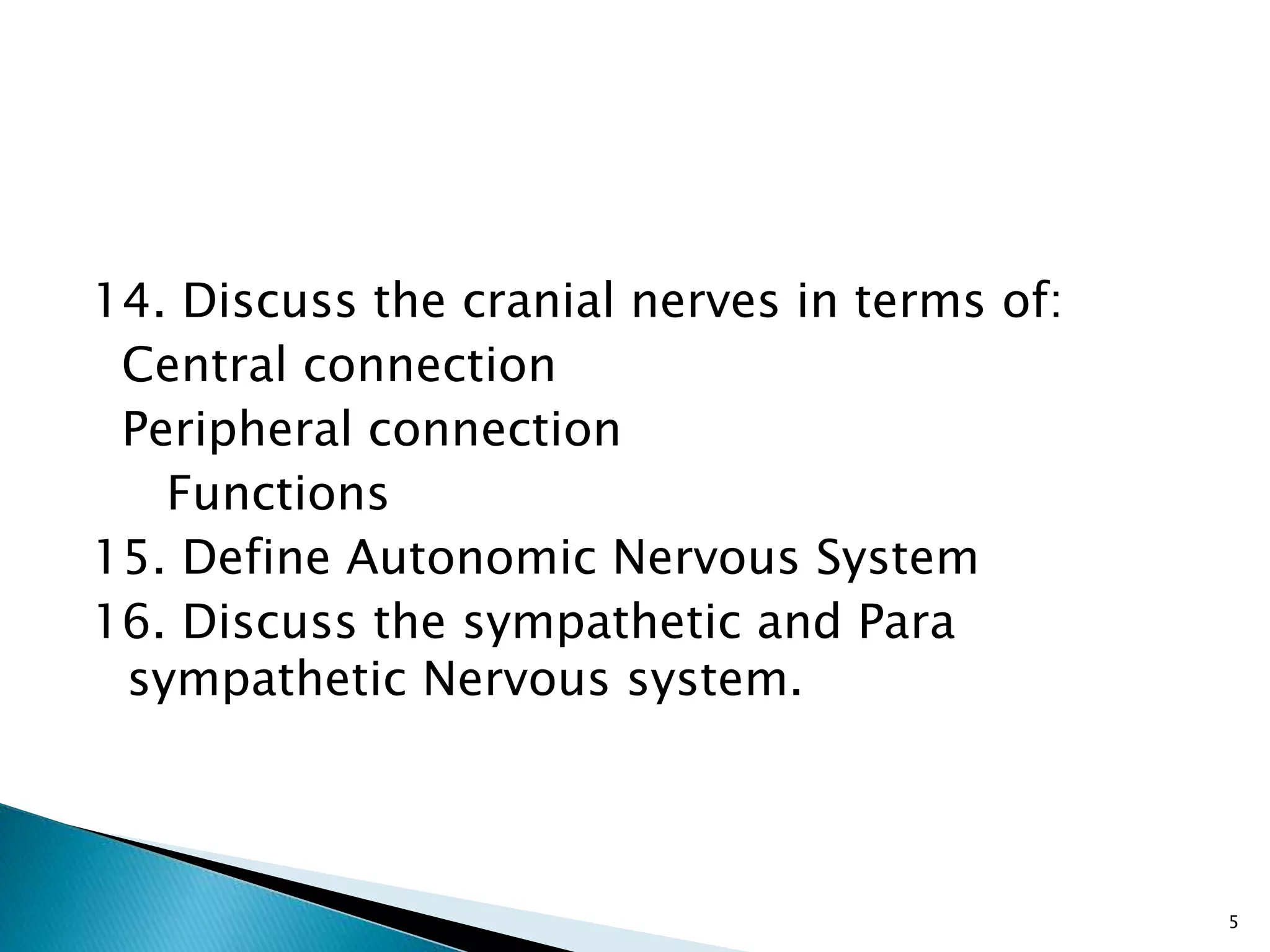 NERVOUS SYSTEM PPT.pptx