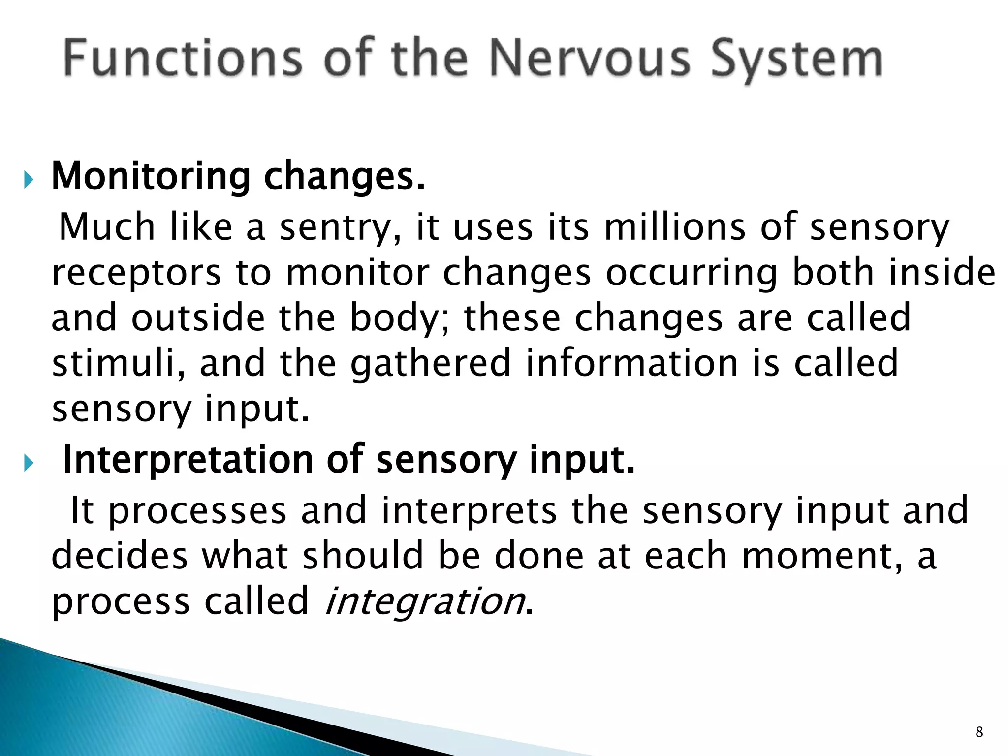 NERVOUS SYSTEM PPT.pptx