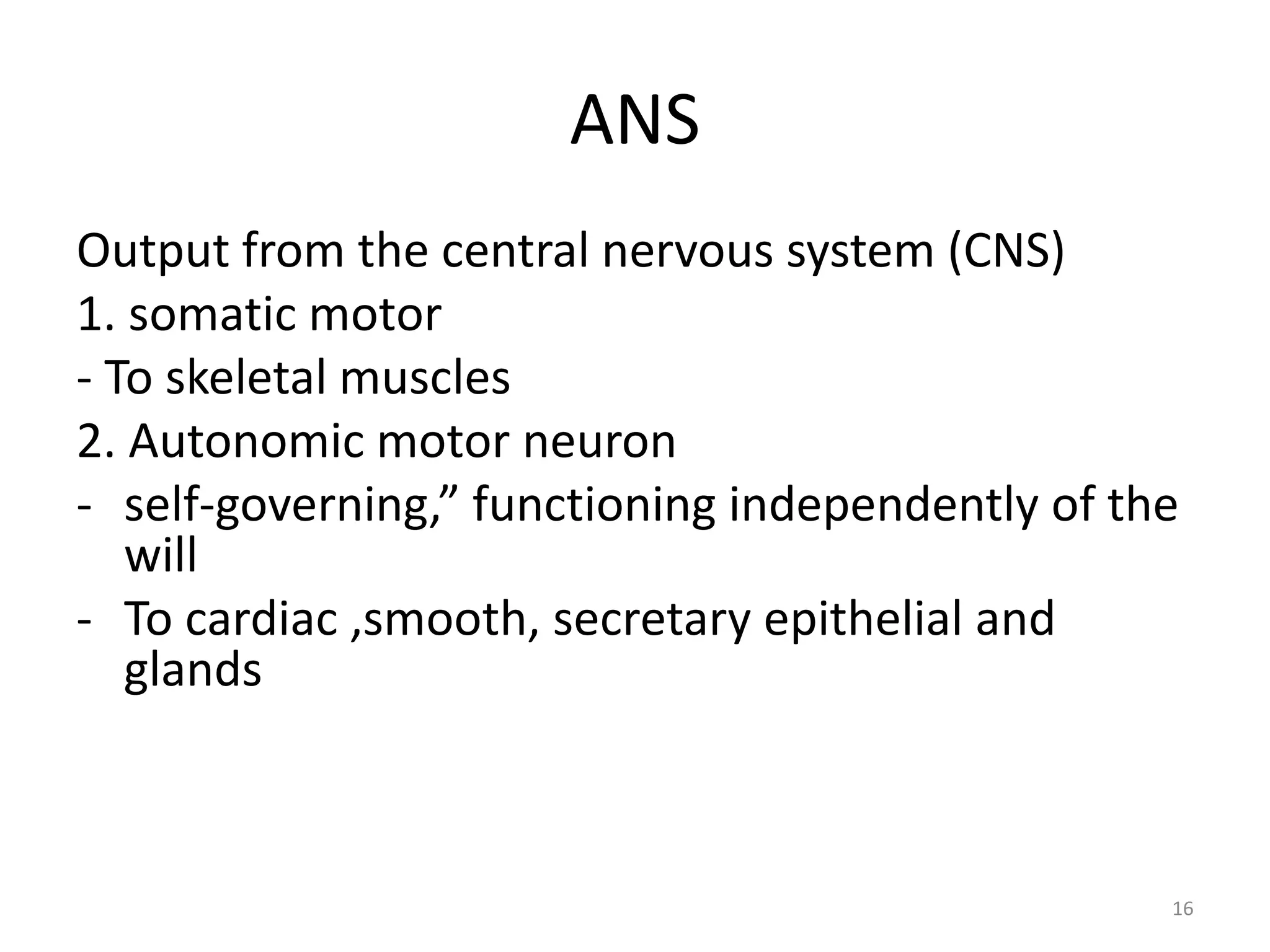 Nervous system ppt.pptx
