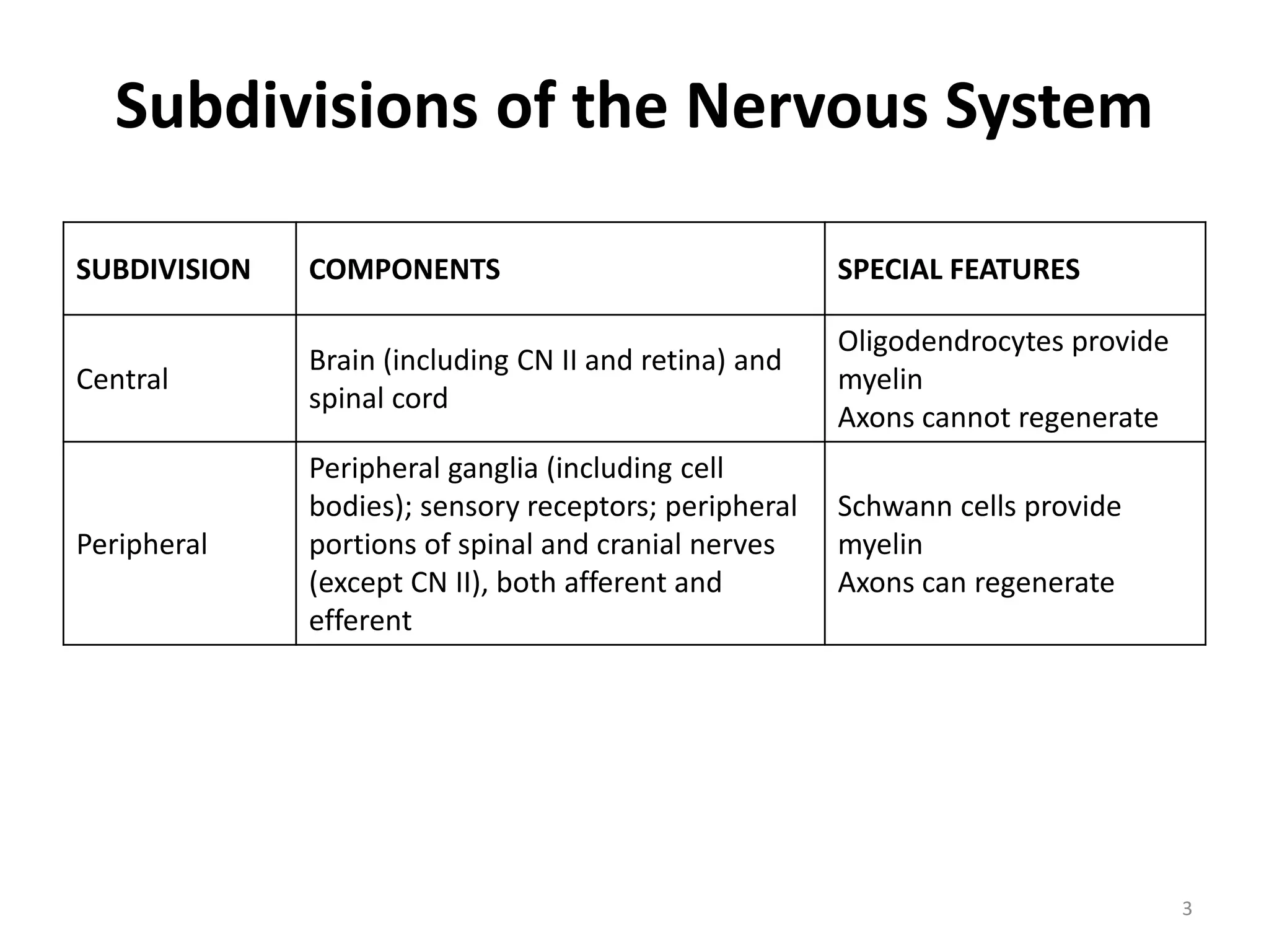Nervous system ppt.pptx
