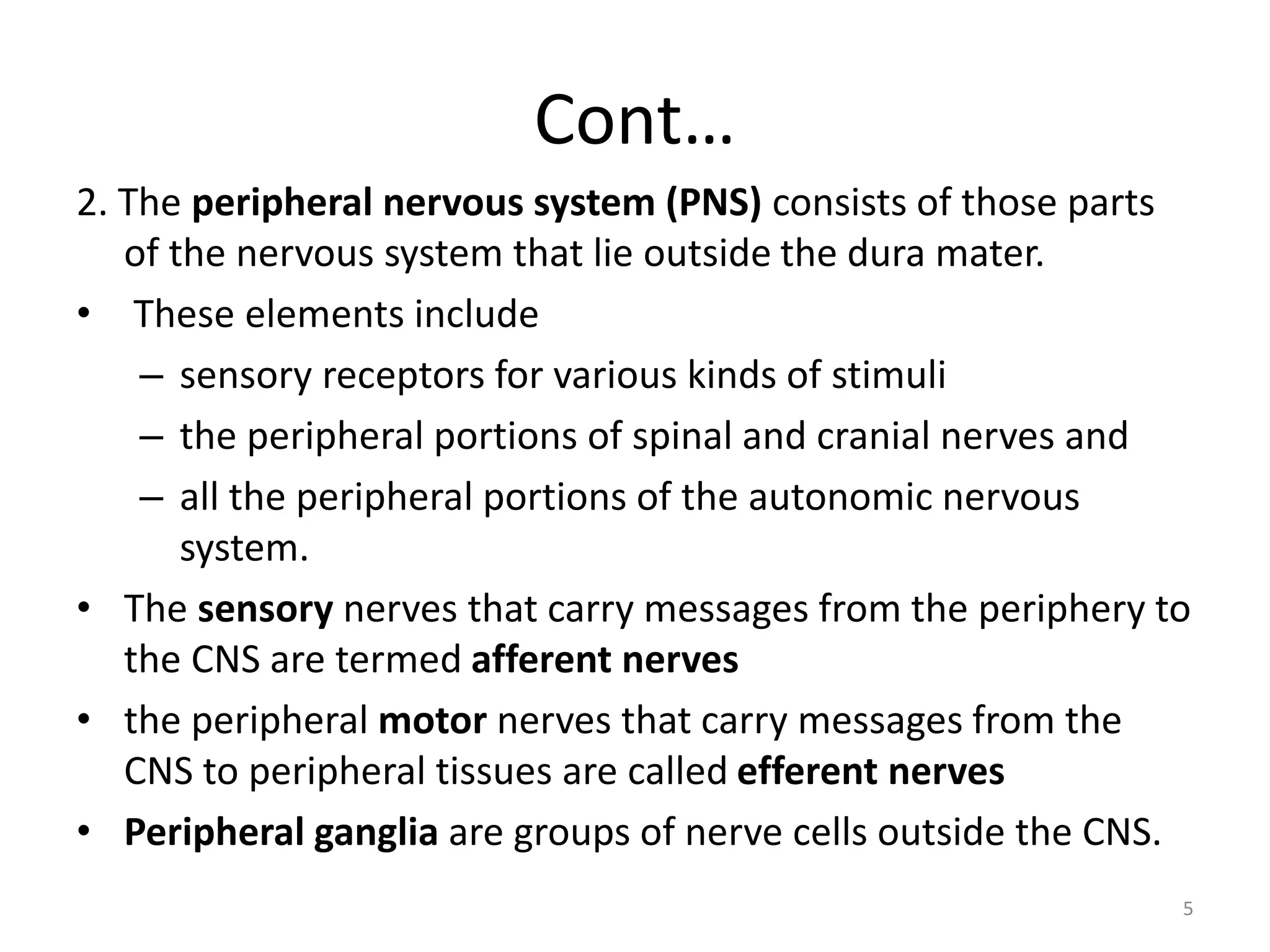 Nervous system ppt.pptx