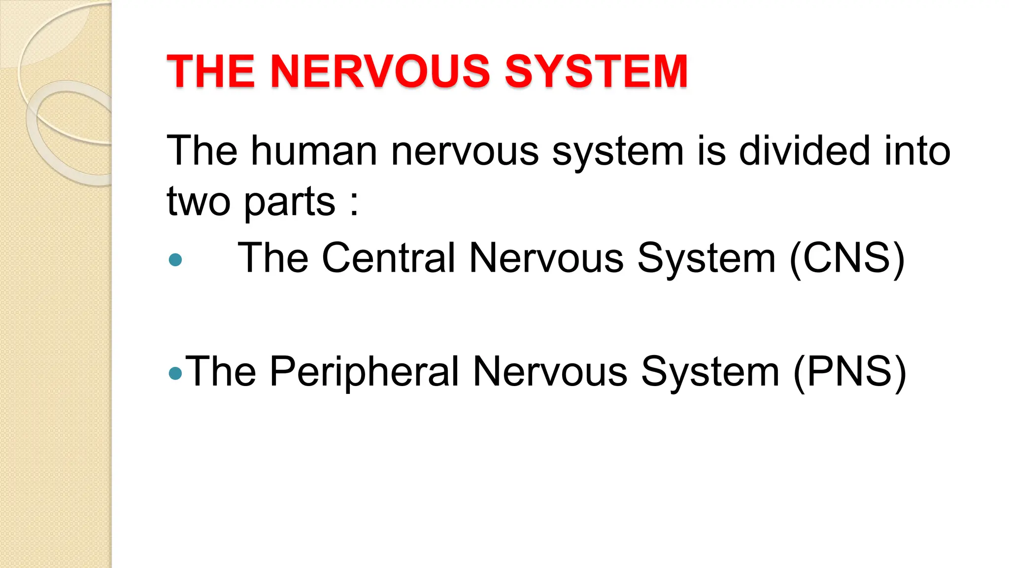 Nervous system ppt.pptx | Brain and Nervous System Disorders | Diseases ...