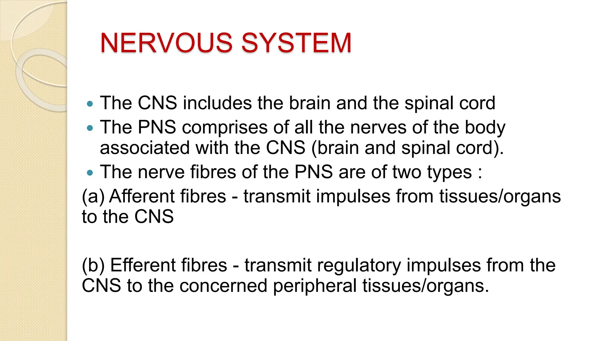 Nervous system ppt.pptx