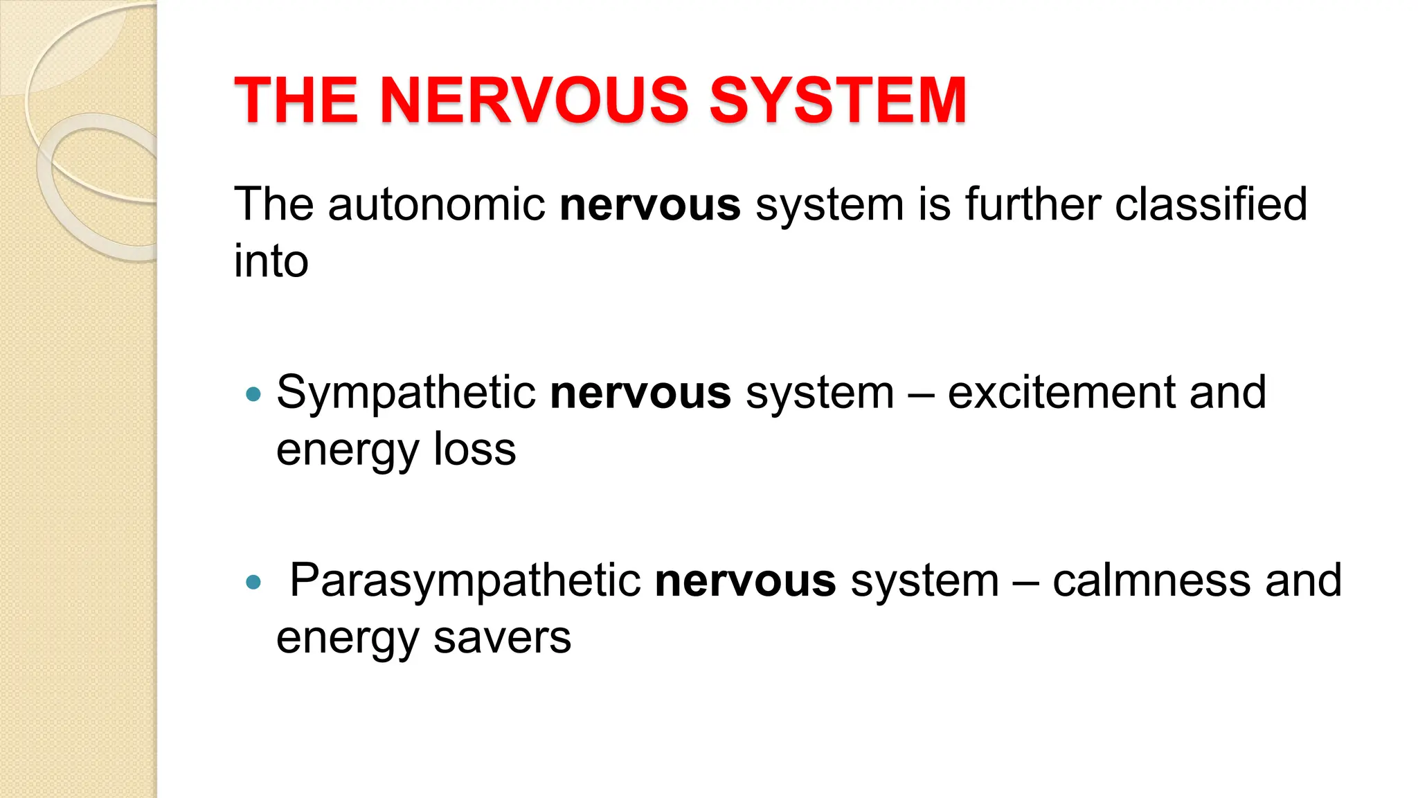 Nervous system ppt.pptx