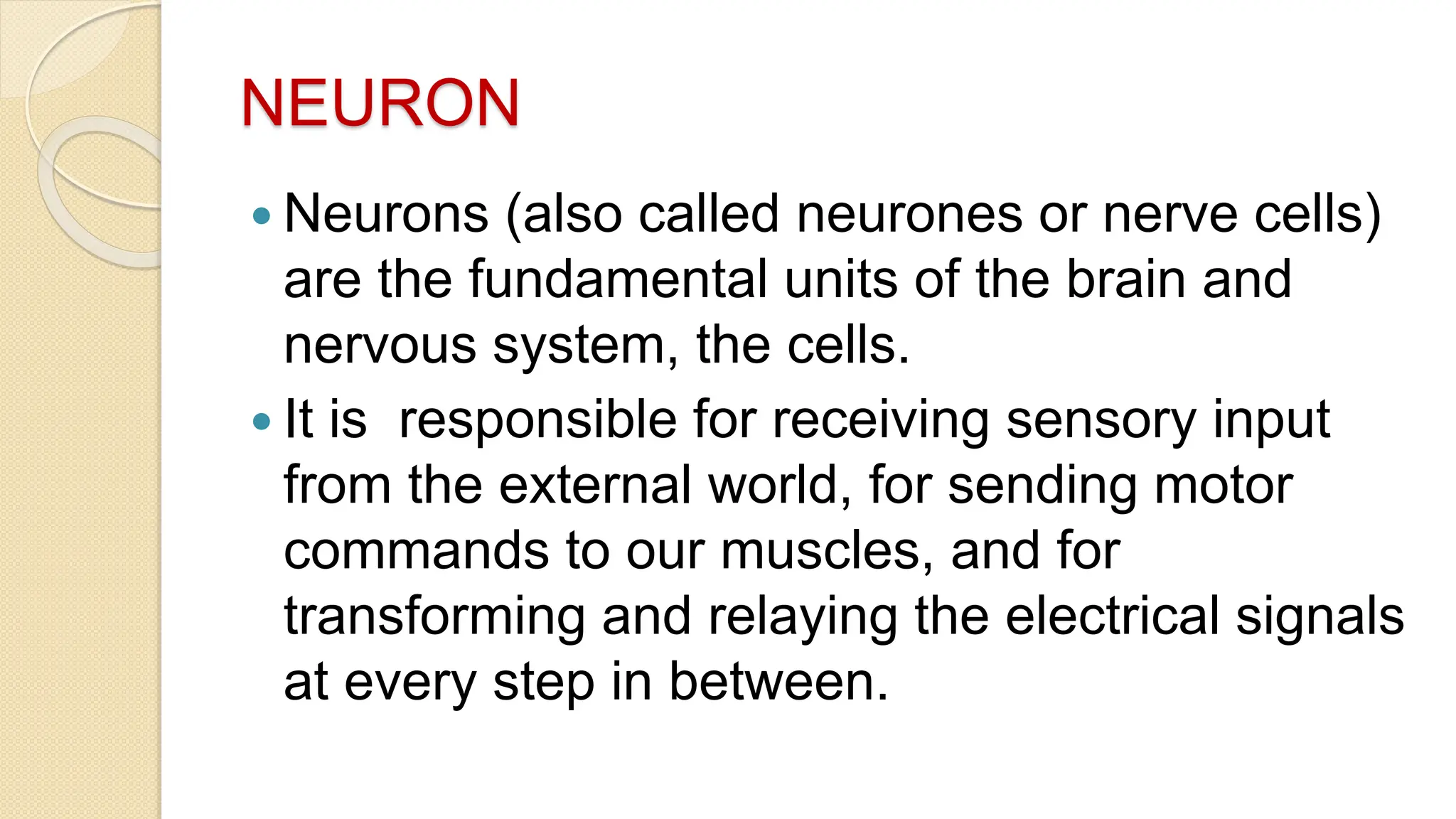 Nervous system ppt.pptx