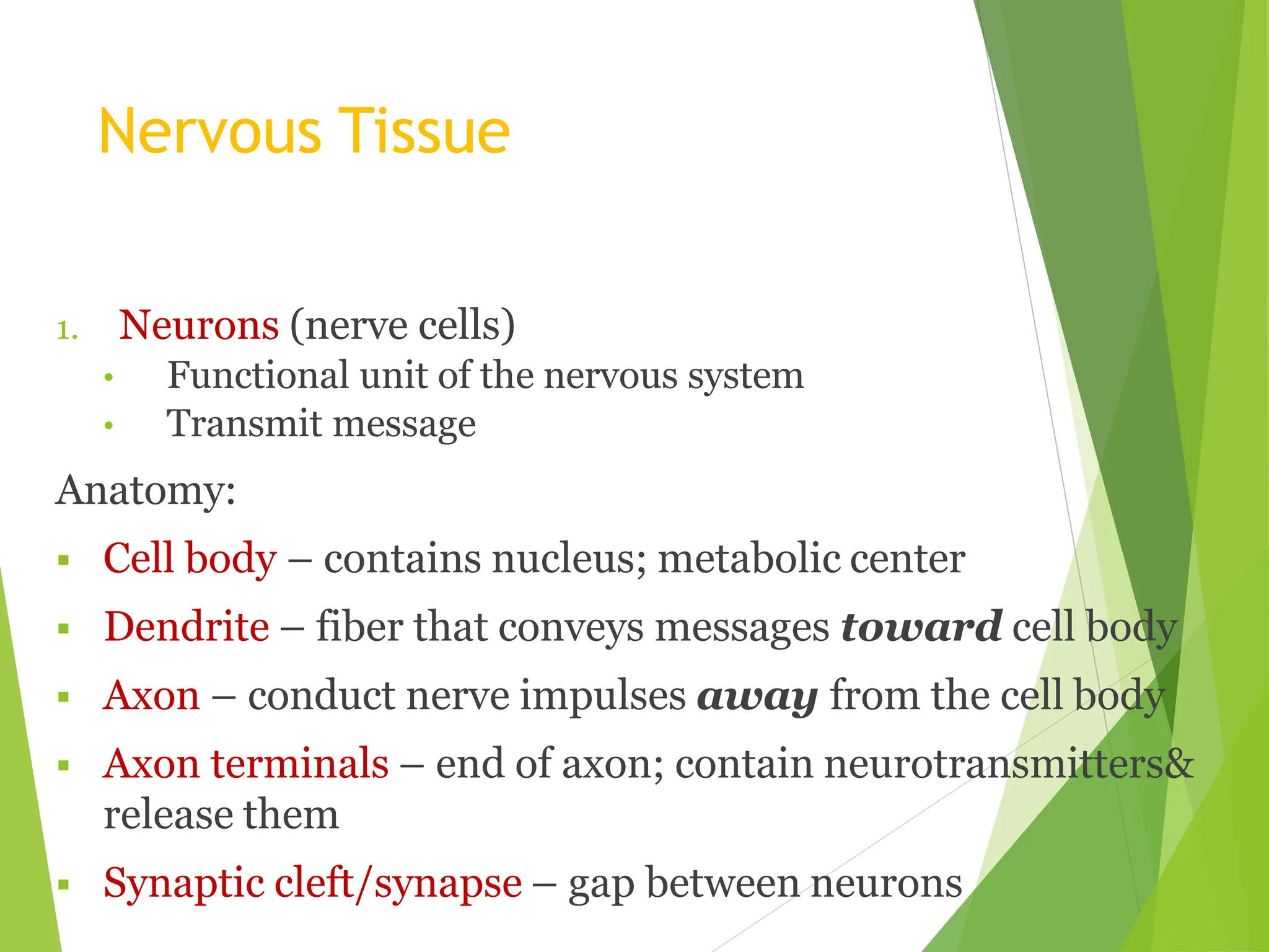 nervousnervoussystemppnervoussystemppnervoussystemppnervoussystemppsystemppt.pptx