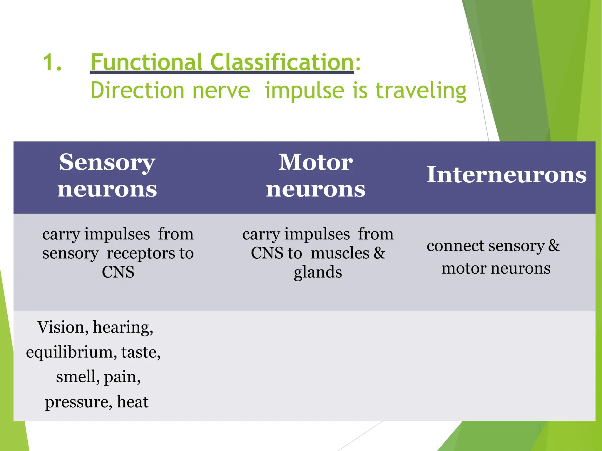 nervousnervoussystemppnervoussystemppnervoussystemppnervoussystemppsyst ...