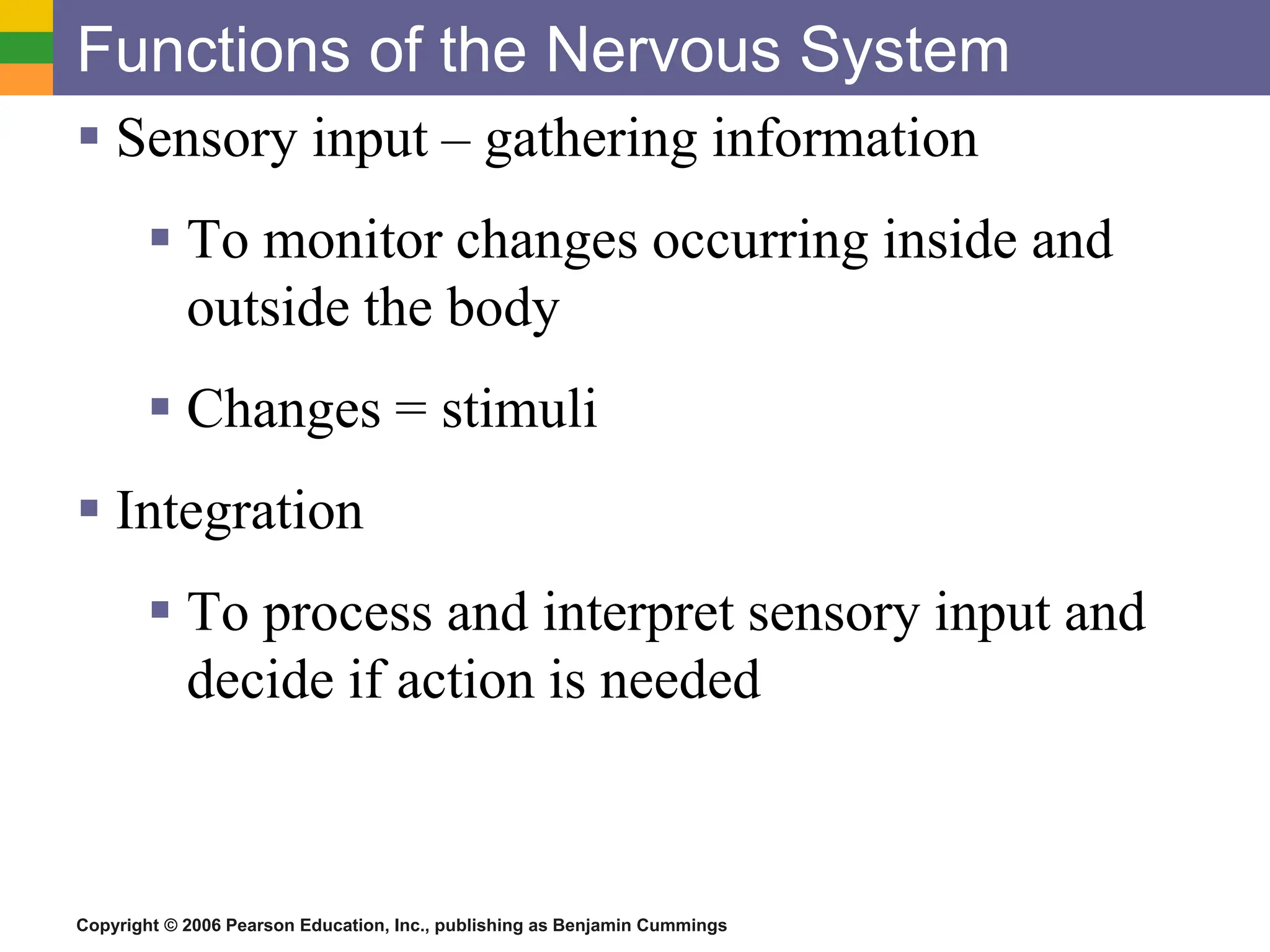 nervous_system_ppt.pdf anatomy and physiology | PPT