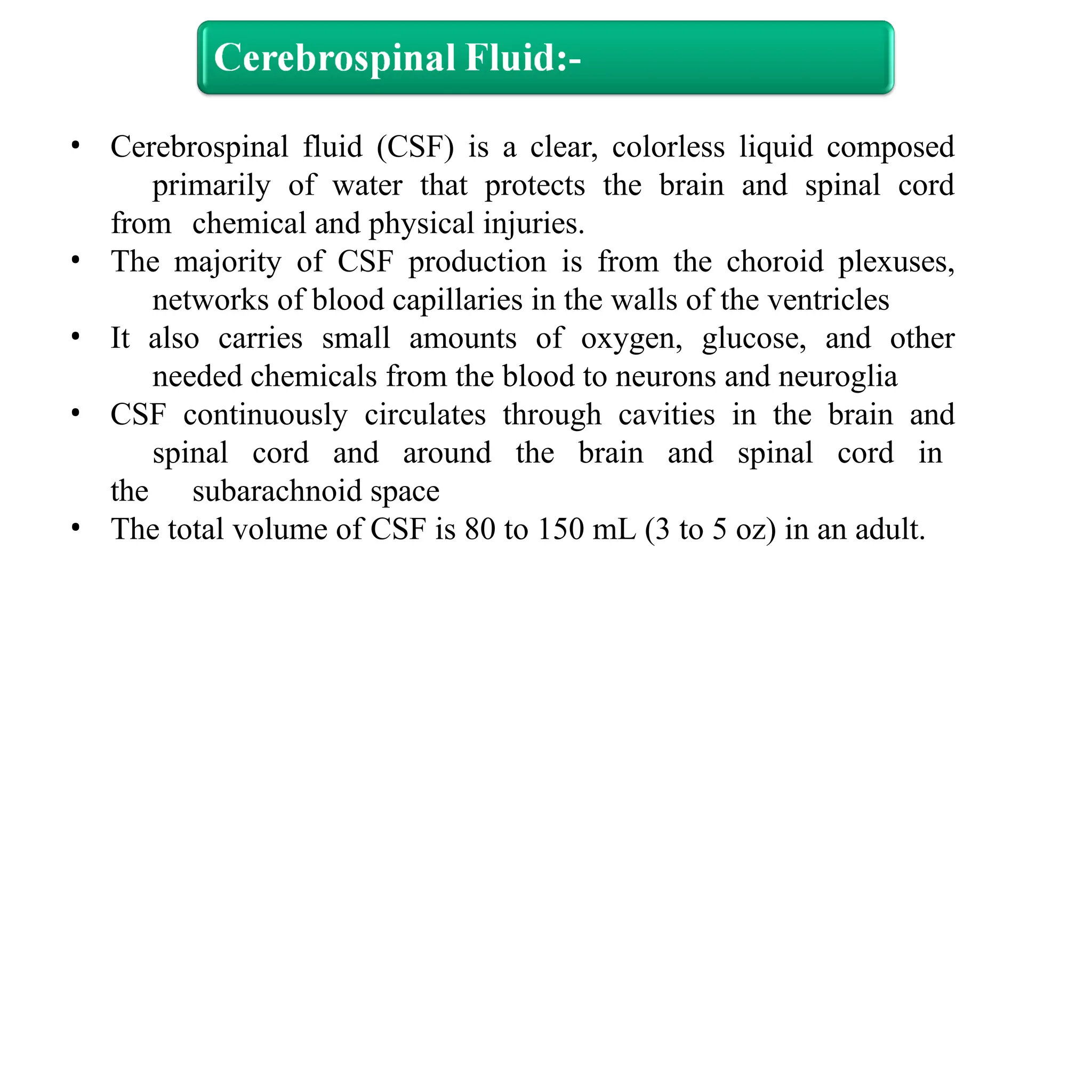 Central Nervous System Anatomy PPT. pptx | PPTX