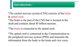 NervousSystemPPT.pptx by lahori of ppt examine | PPTX