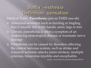Nervous system ppt presentation | PPTX