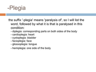 Nervous system presentation | PPT