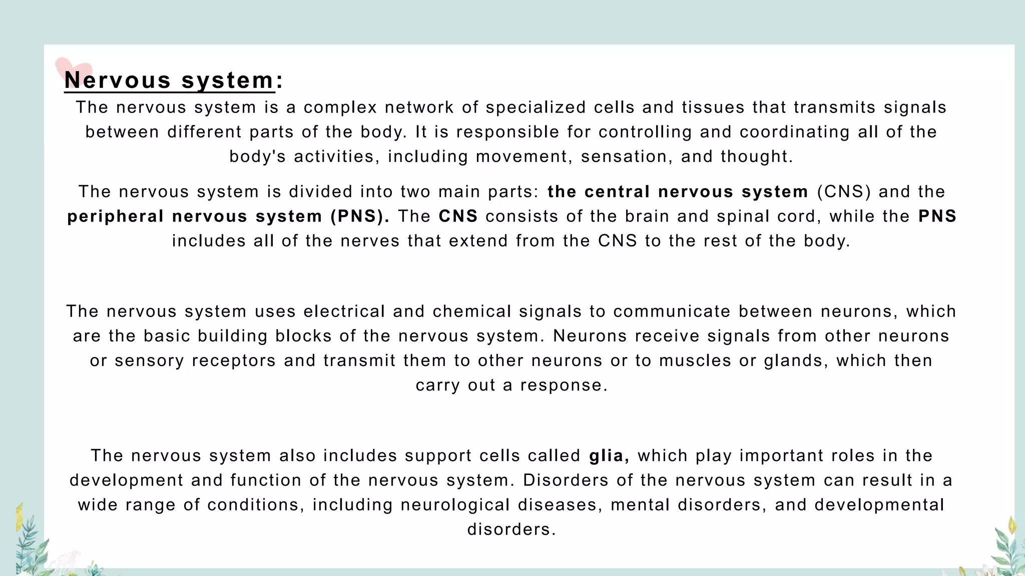 Nervous system presentation.pptx