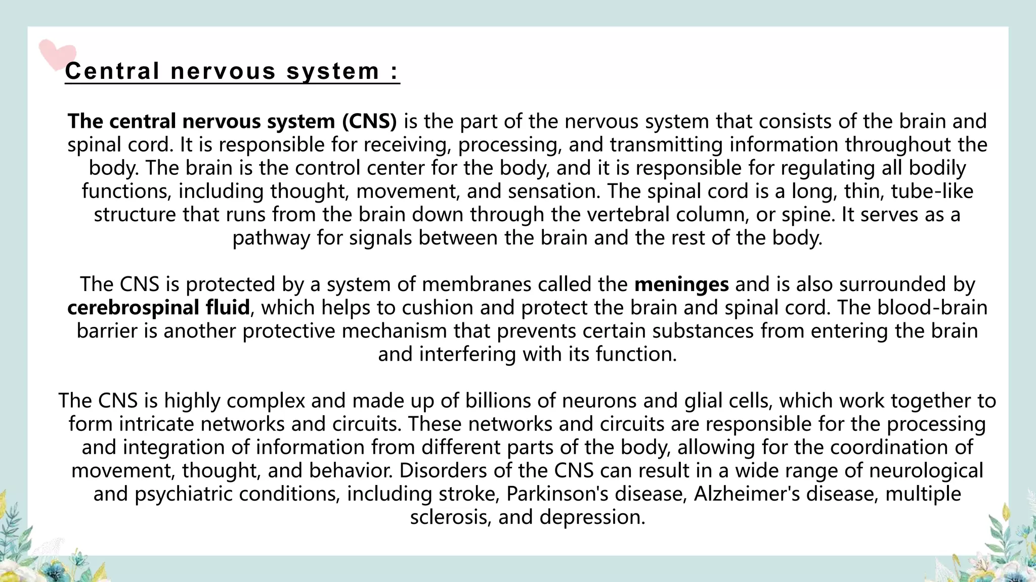 Nervous system presentation.pptx