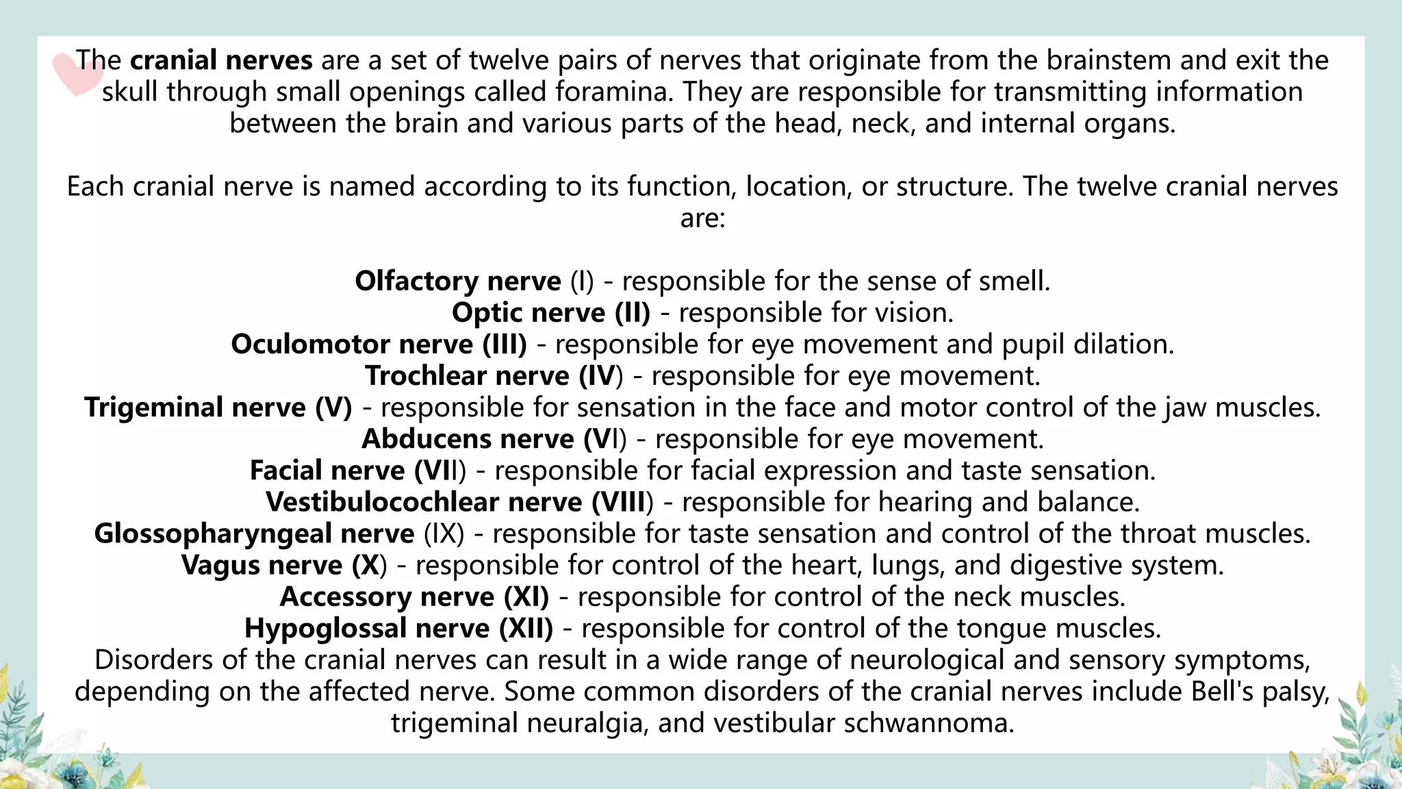 Nervous system presentation.pptx