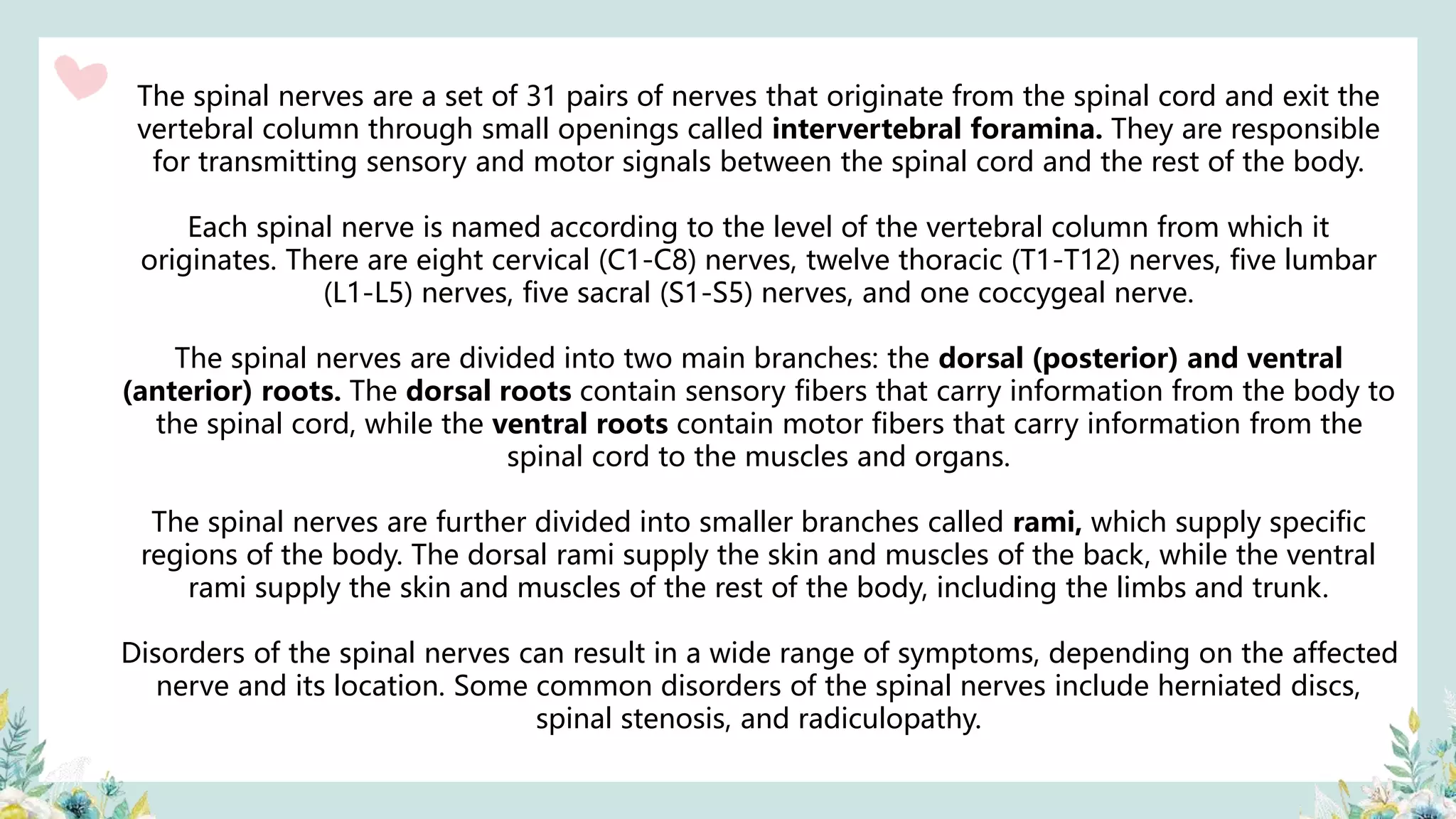 Nervous system presentation.pptx