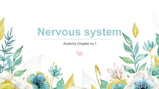 Nervous system presentation.pptx