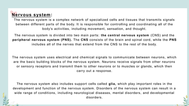 Nervous system presentation.pptx