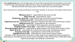 Nervous system presentation.pptx