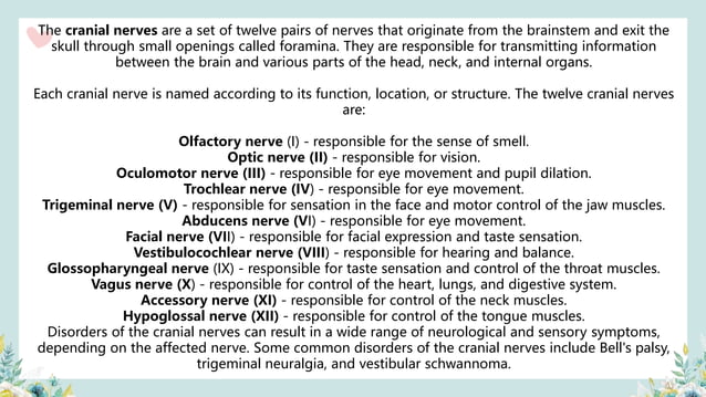 Nervous system presentation.pptx