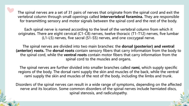 Nervous system presentation.pptx