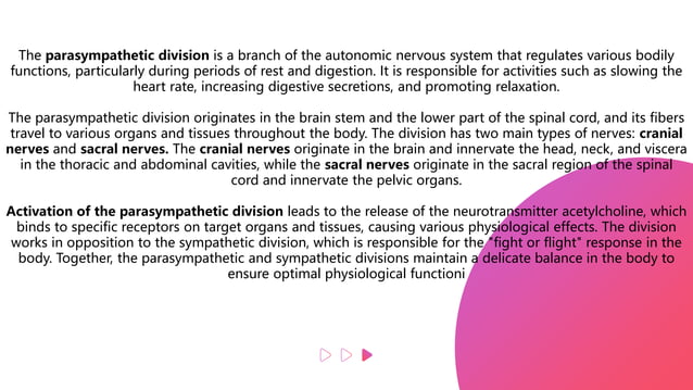 nervous system presentation 2.pptx