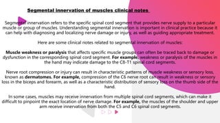 nervous system presentation 2.pptx