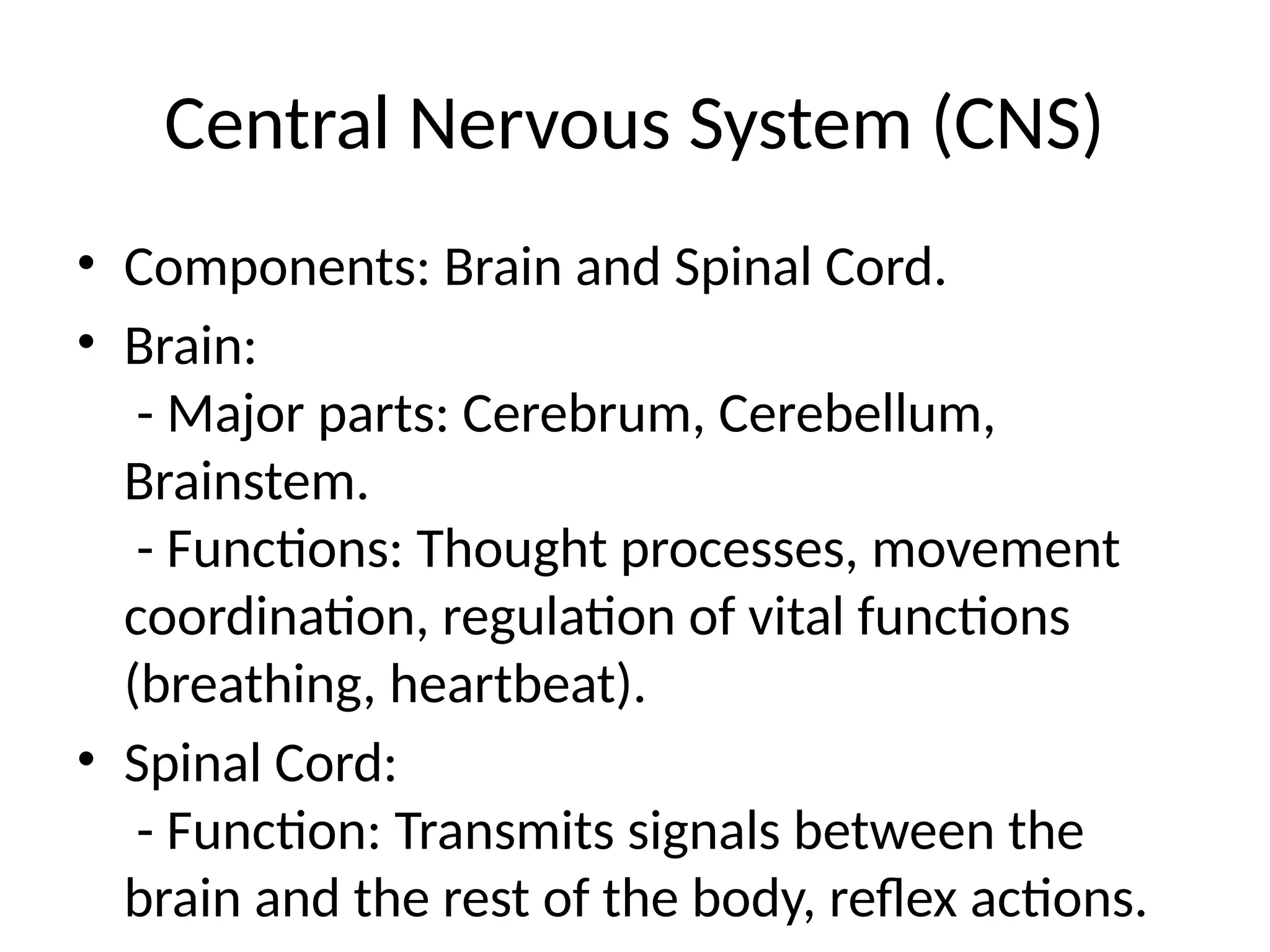 Nervous_System_Presentation_Grade9.pptx tutorial | PPTX