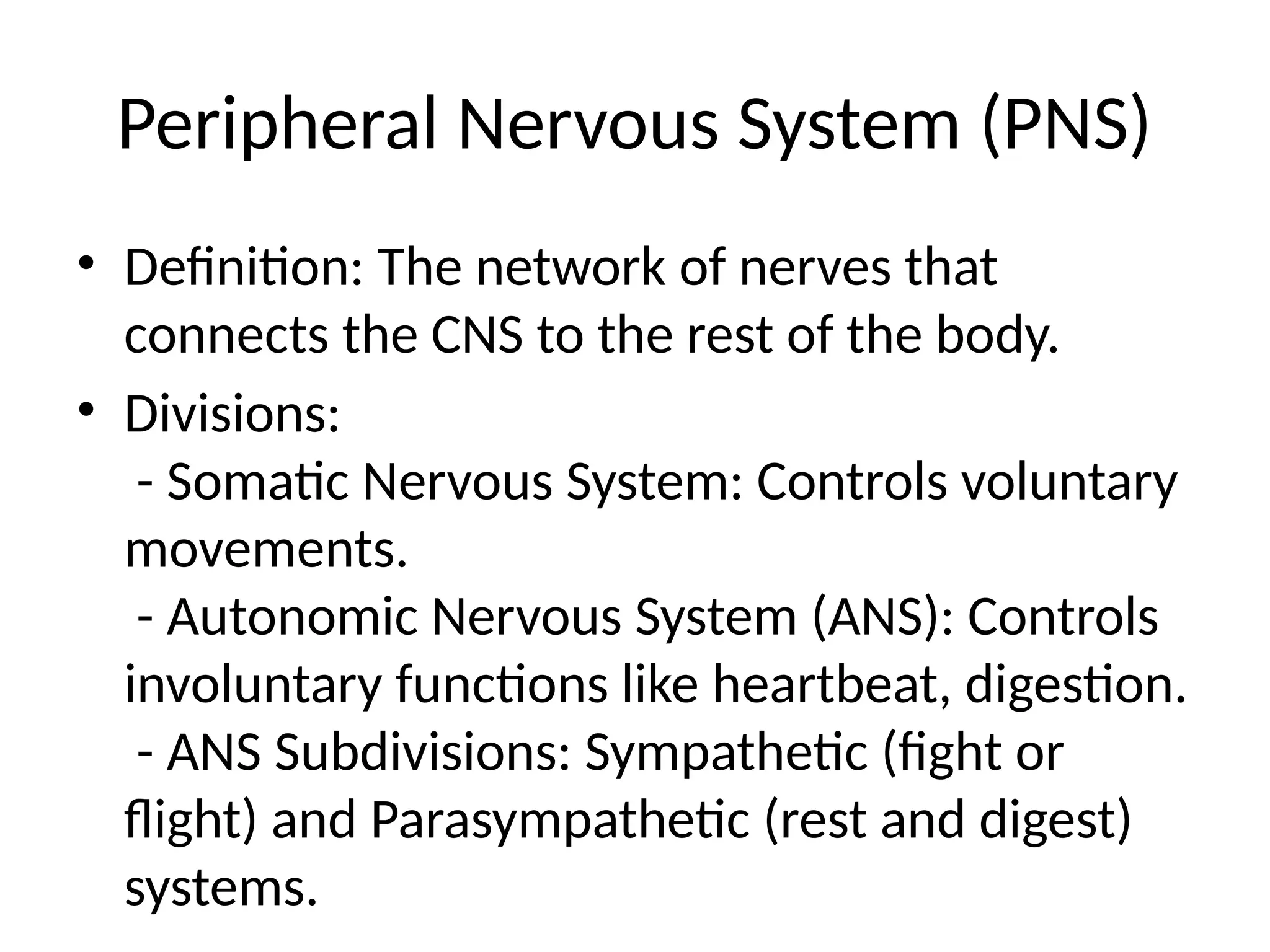 Nervous_System_Presentation_Grade9.pptx tutorial | PPTX