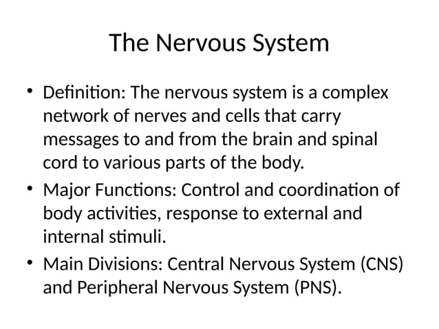 Nervous_System_Presentation_Grade9.pptx tutorial | PPTX | Brain and ...