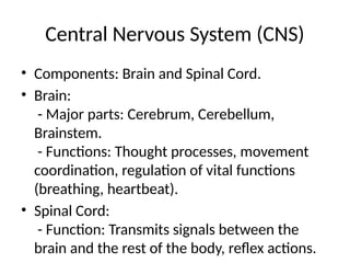 Nervous_System_Presentation_Grade9.pptx tutorial | PPTX