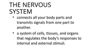 NERVOUS SYSTEM PowerPoint Presentation grade 10 | PPTX