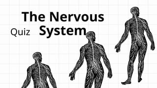 NERVOUS SYSTEM QUIZ PARTS AND FUNCTIONS OF | PPT