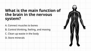 NERVOUS SYSTEM QUIZ PARTS AND FUNCTIONS OF | PPTX