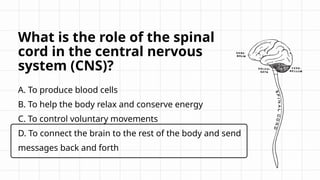 NERVOUS SYSTEM QUIZ PARTS AND FUNCTIONS OF | PPTX