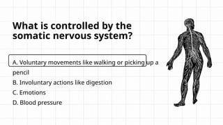 NERVOUS SYSTEM QUIZ PARTS AND FUNCTIONS OF | PPTX