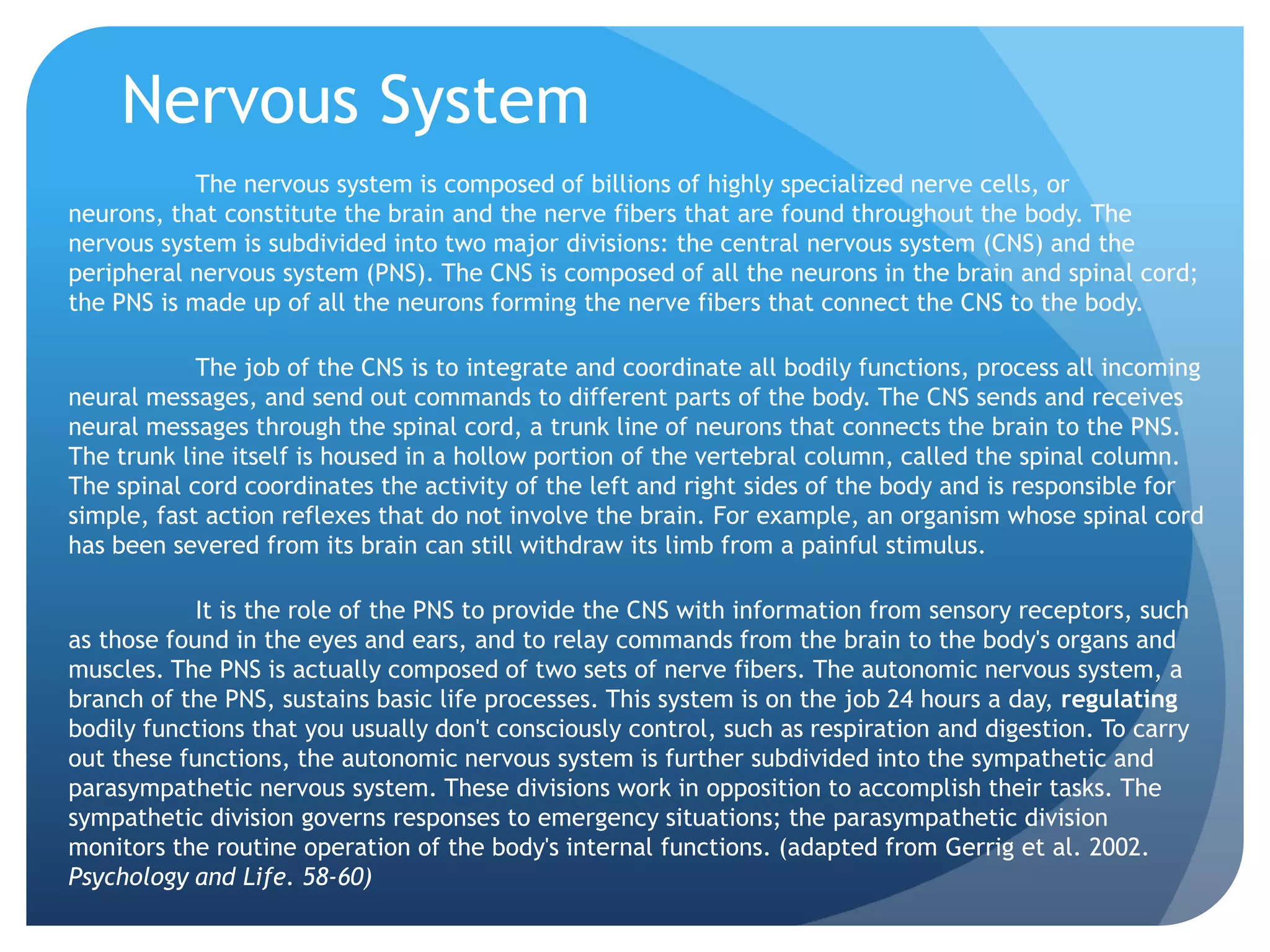 Nervous system review | PPTX