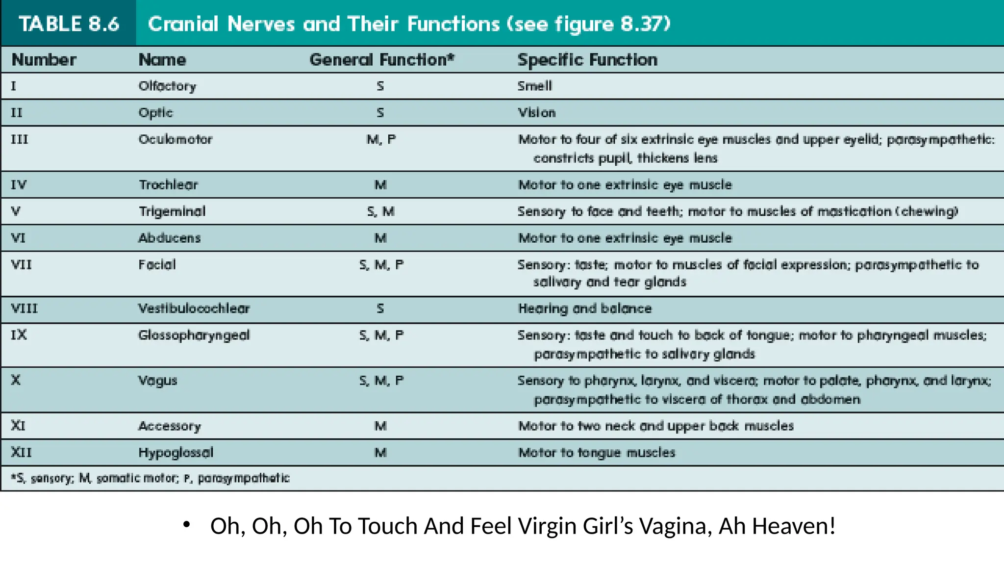 Nervous System Reviewer.pptx............ | PPT