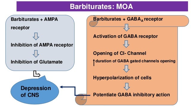 Pharmacology of Nervous System