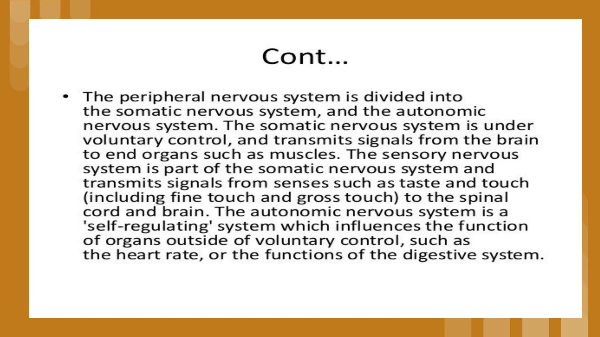 Nervous system , Somatic nervous system, Spinal nerves and it's ...