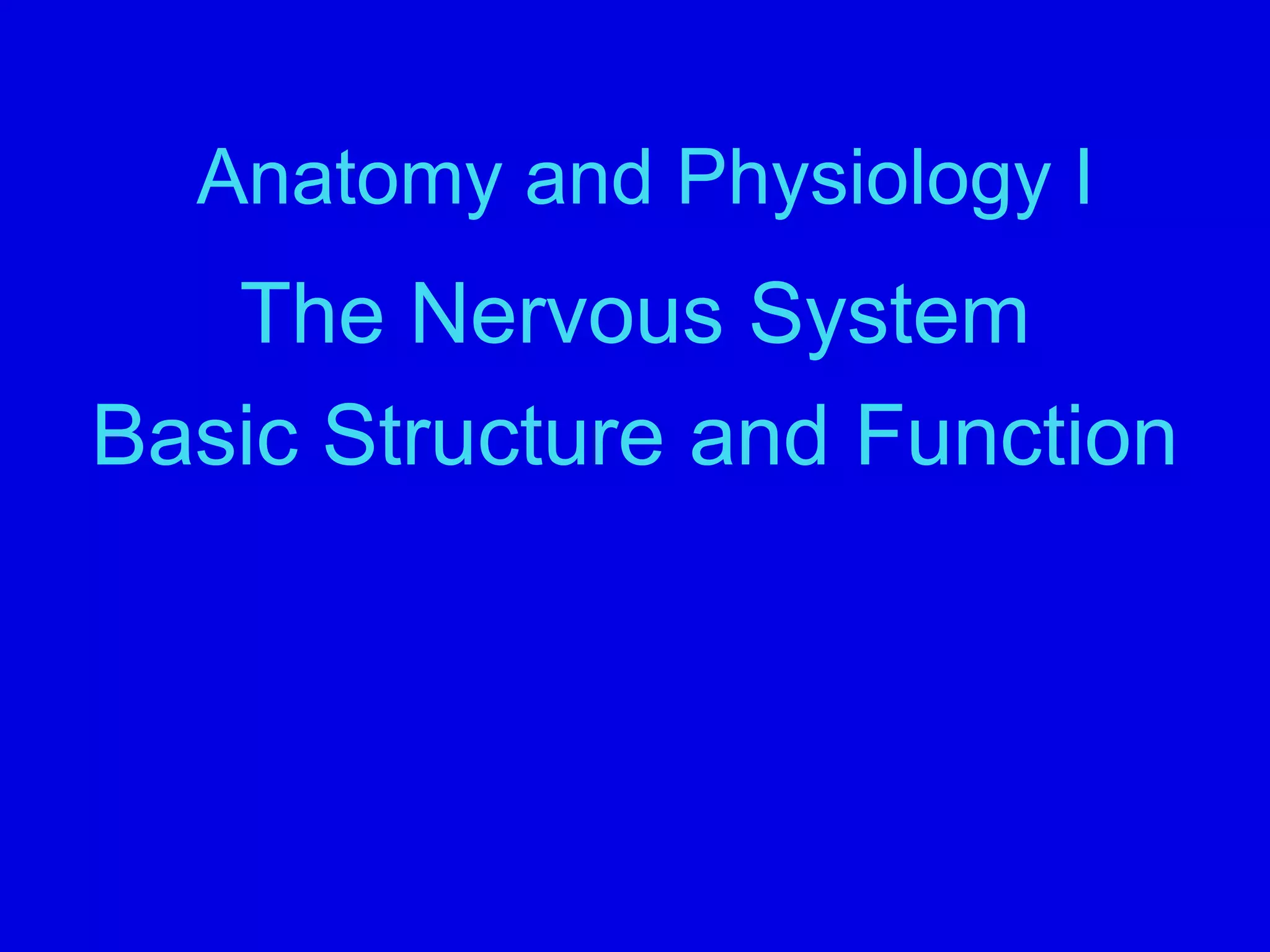 Nervous System Structure and Function.ppt