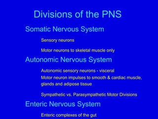 Nervous System Structure and Function.ppt