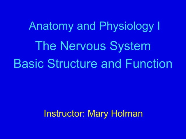Nervous System Structure and Function.ppt