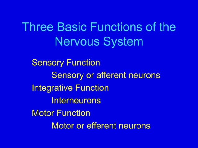 Nervous System Structure and Function.ppt