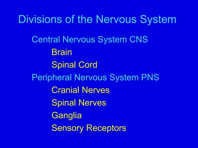 Nervous System Structure and Function.ppt