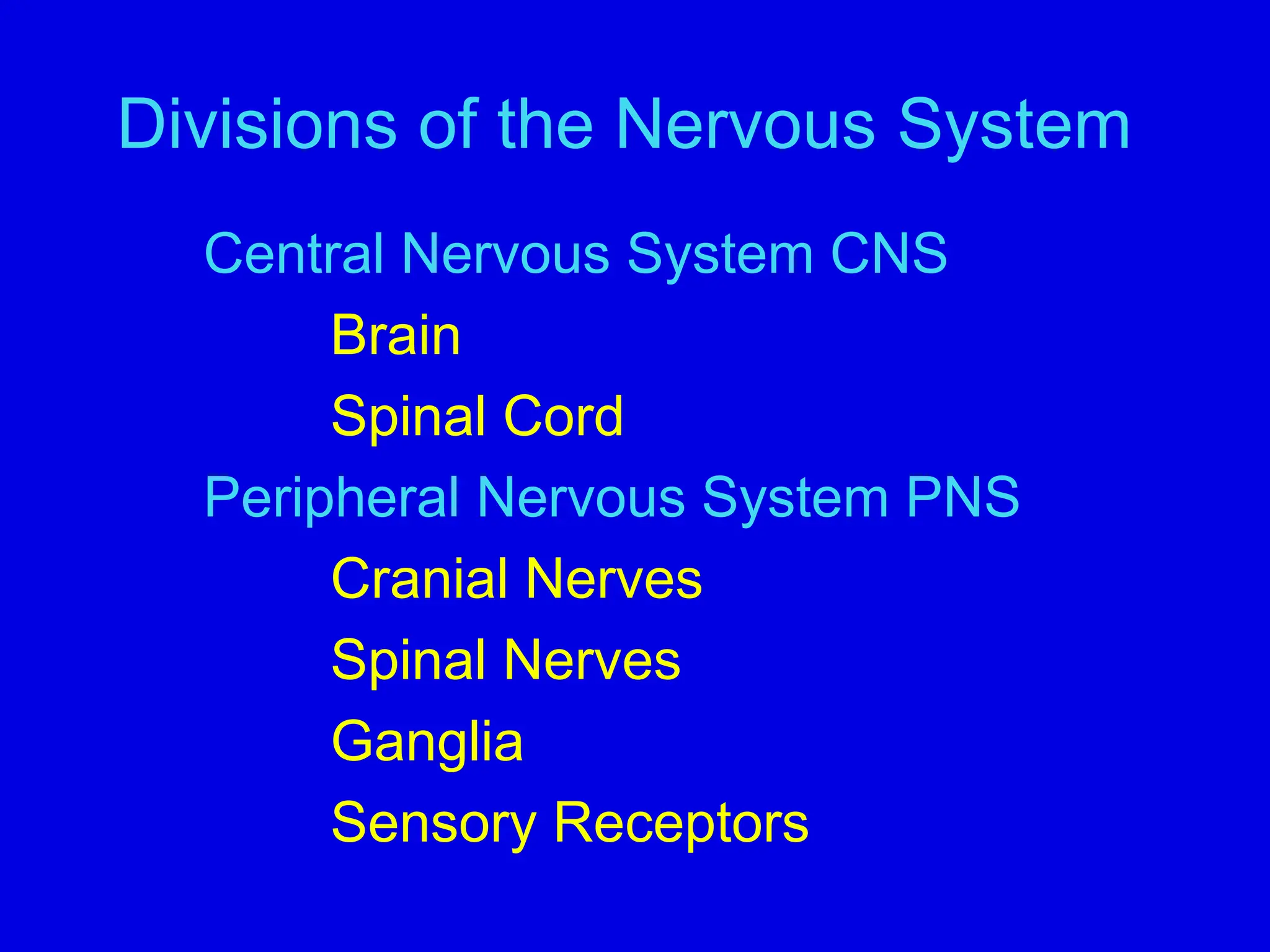 Nervous System Structure and Function.ppt