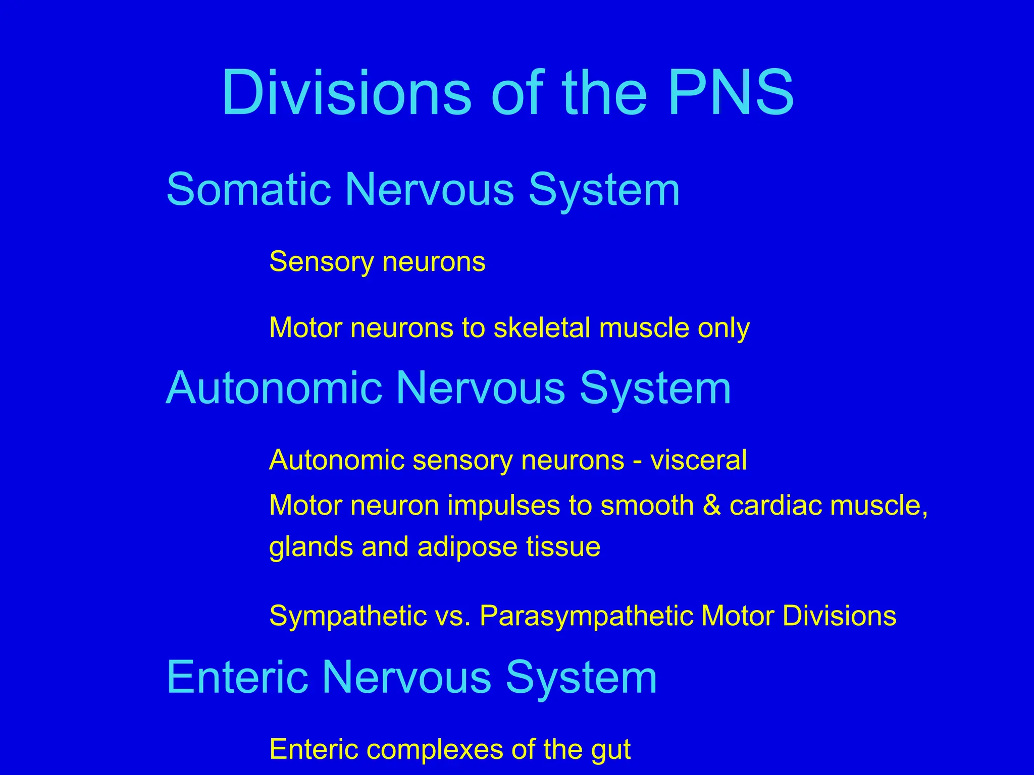 Nervous System Structure and Function.ppt